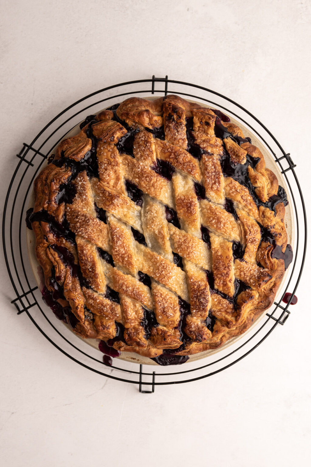 Blue-Ribbon Blueberry Pie - Everyday Pie