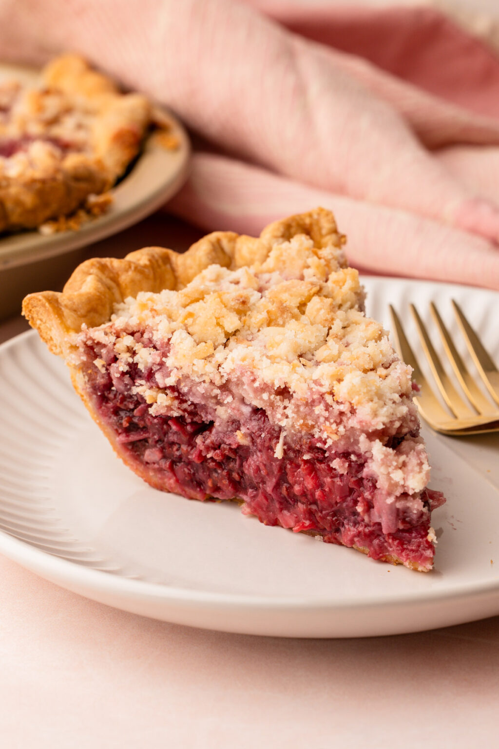 Raspberry Coconut Macaroon Pie - Everyday Pie